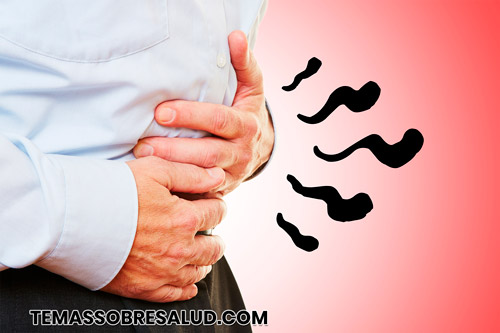 Flatulencia en Adultos - exceso de gases digestivos